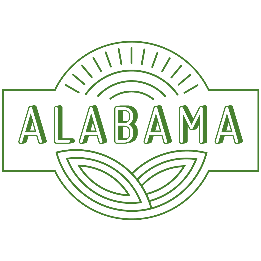Alabama Café Donostia - Café Slow Food Juice Bar